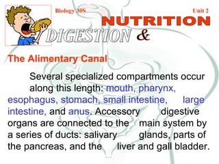 Digestion Introduction | PPT