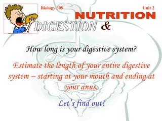 Digestion Introduction | PPT