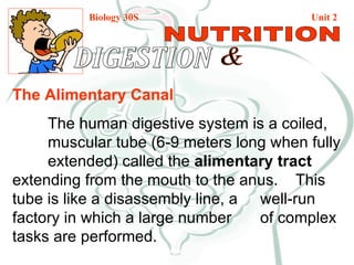Digestion Introduction | PPT