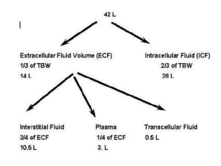 Introduction to body fluid & cell membrane | PPT