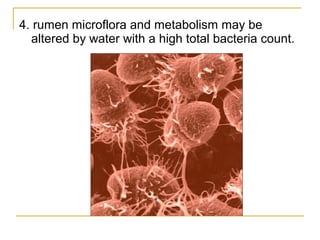 Introduction 111 water | PPT