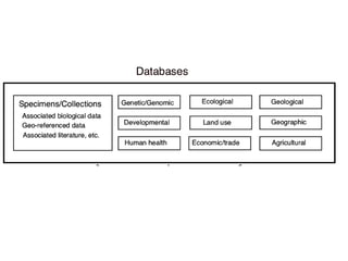 Phyloinformatics: Introduction | PPT
