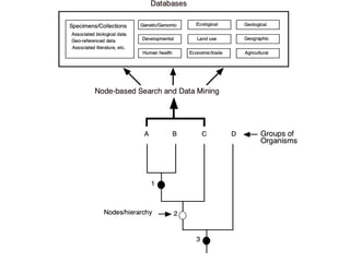 Phyloinformatics: Introduction | PPT