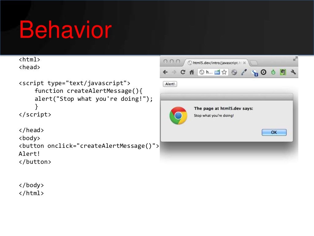 Behavior 