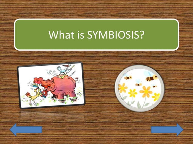 Symbiosis | PPT