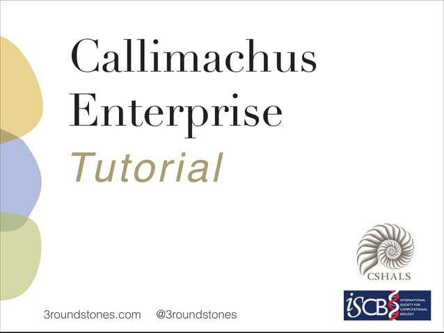 Callimachus Enterprise 1.3 Tutorial | PPT