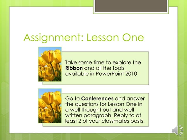 PowerPoint Basics | PPT