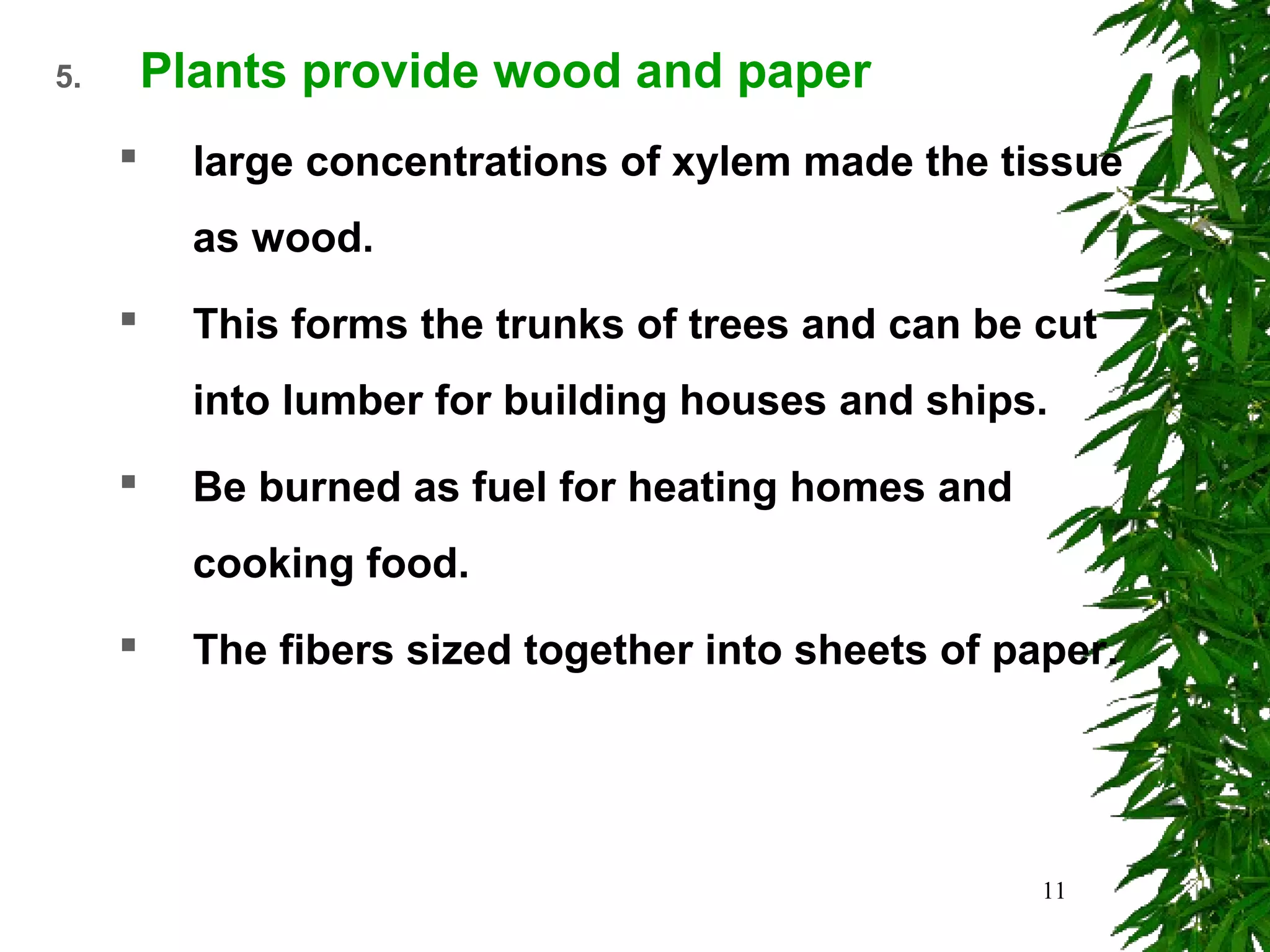 Introduction to principles of plant physiology | PPT