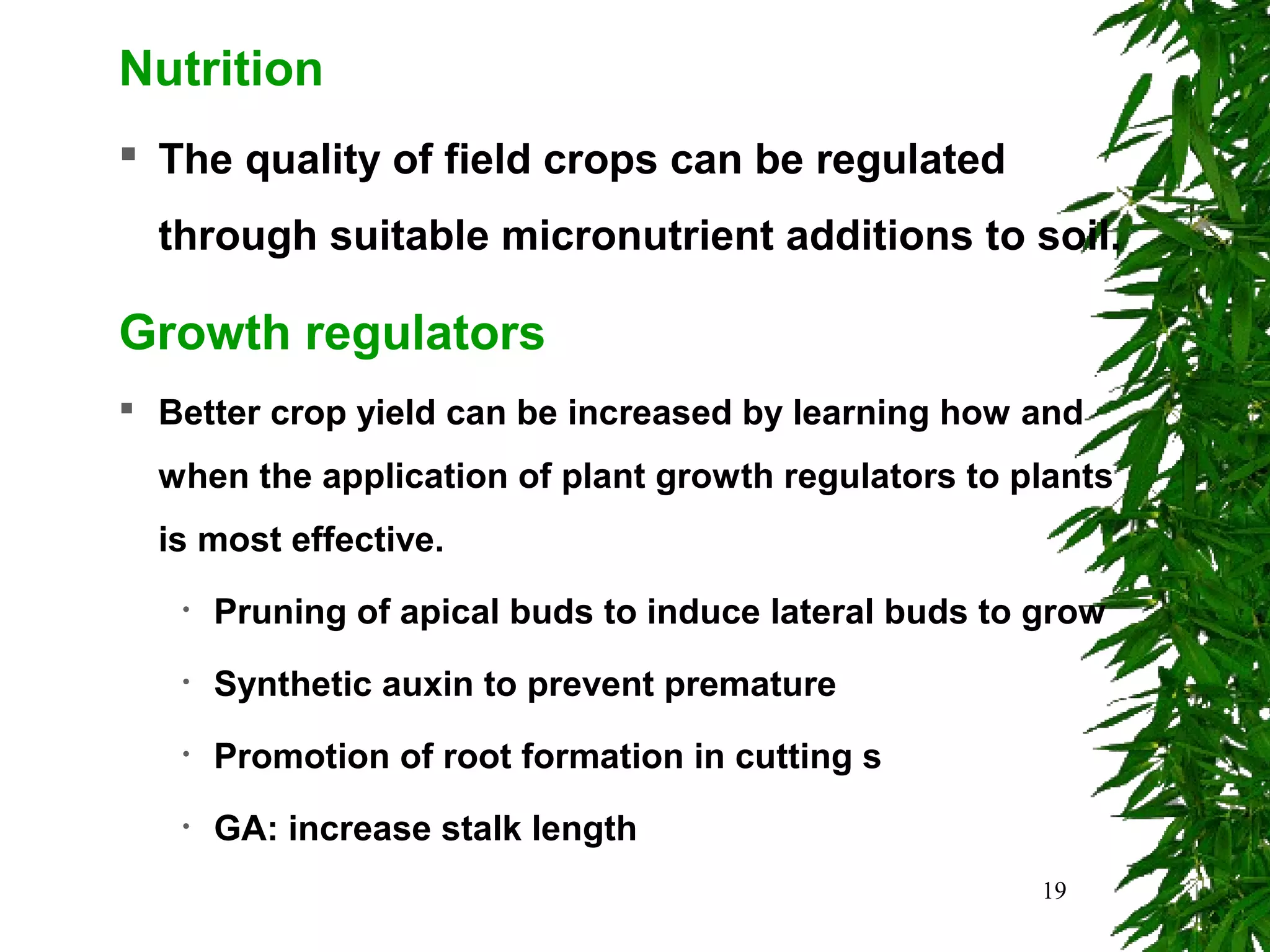 Introduction to principles of plant physiology | PPT