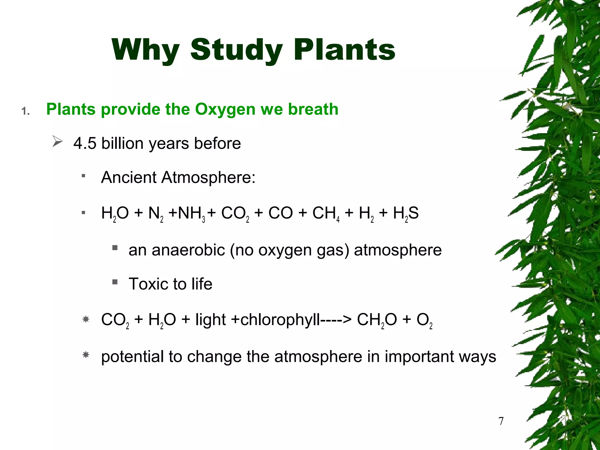 Introduction to principles of plant physiology | PPT | Agriculture ...