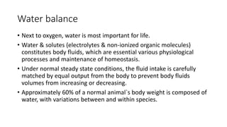 Introduction to fluid & electrolyte balance in animals | PPTX