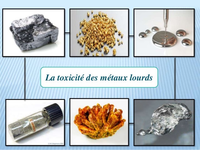 La toxicité des métaux lourds