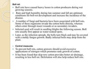 Presentation on diseases of cotton plants | PPTX