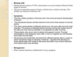Presentation on diseases of cotton plants | PPTX