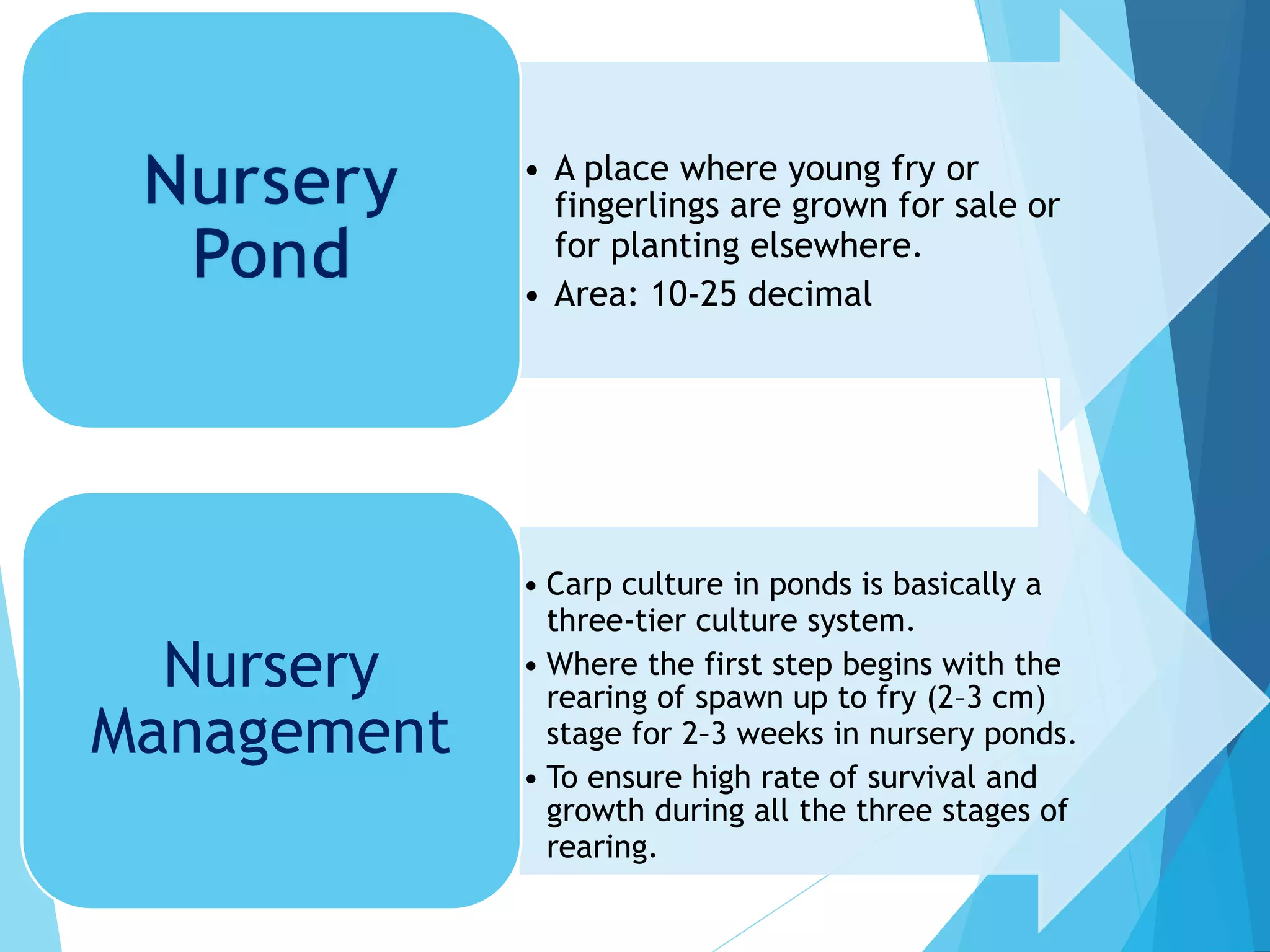 Nursery Management of Fin Fish | PPTX
