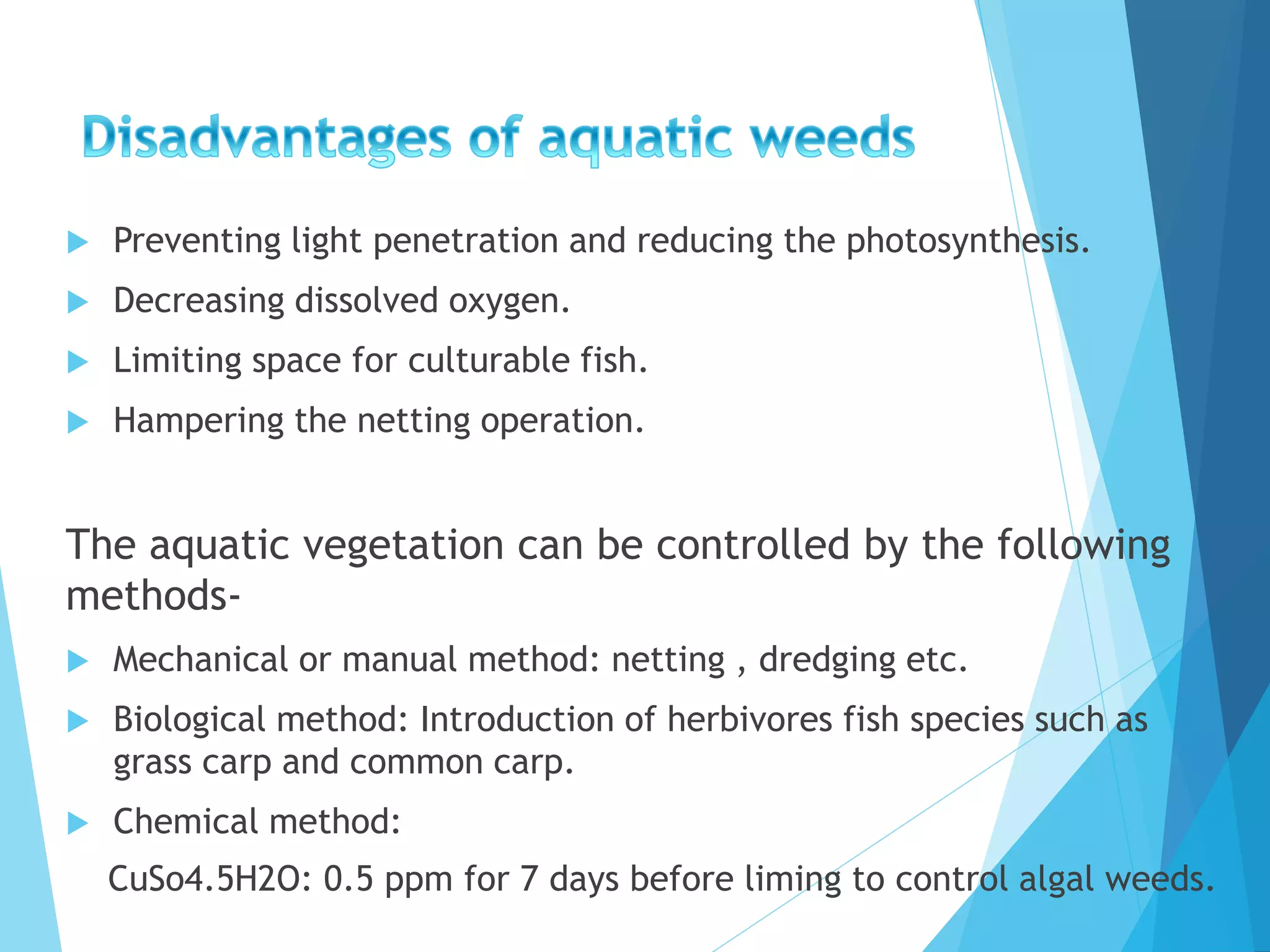 Nursery Management of Fin Fish | PPTX