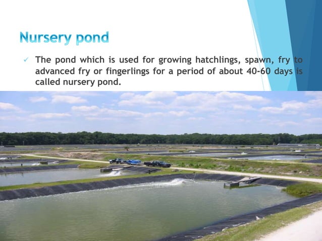 Nursery Management of Fin Fish | PPTX | Gardening | Home & Garden