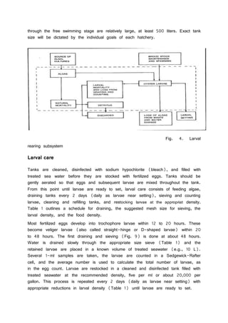 Hatchery Management of Oyster, Mud crab and Mussel | DOCX