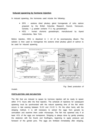 Hatchery Management of Oyster, Mud crab and Mussel | DOCX