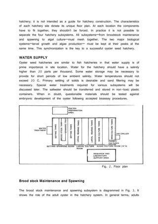 Hatchery Management of Oyster, Mud crab and Mussel | DOCX