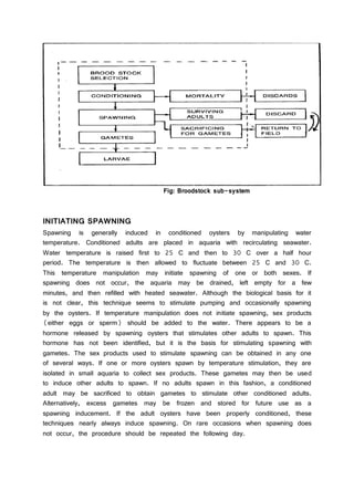 Hatchery Management of Oyster, Mud crab and Mussel | DOCX