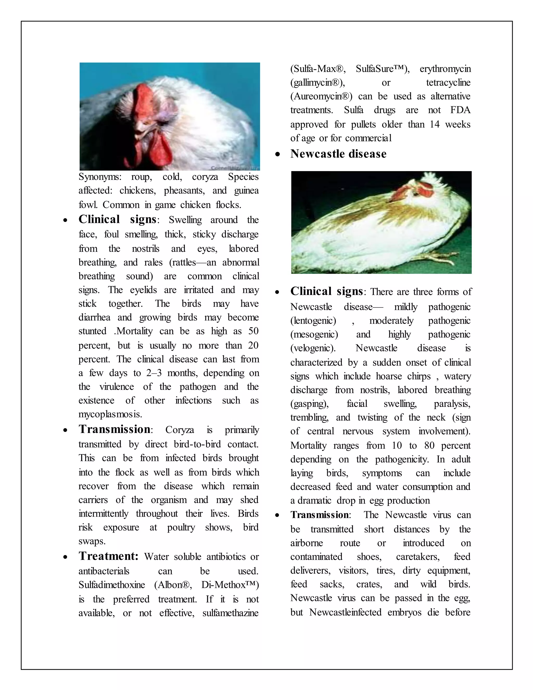 respiratory diseases of poltry | DOCX