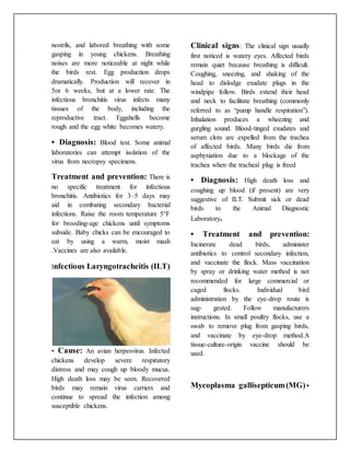 respiratory diseases of poltry | DOCX