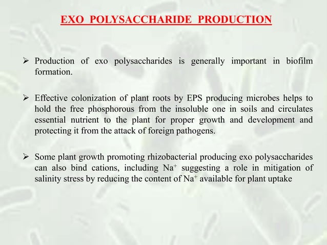 Pgpr | PPTX | Agriculture | Industries