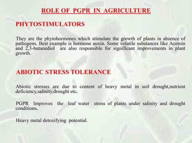 Pgpr | PPTX | Agriculture | Industries