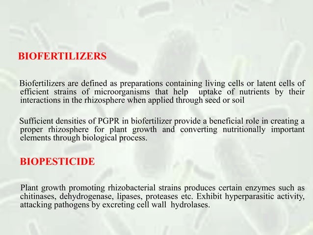 Pgpr | PPTX | Agriculture | Industries