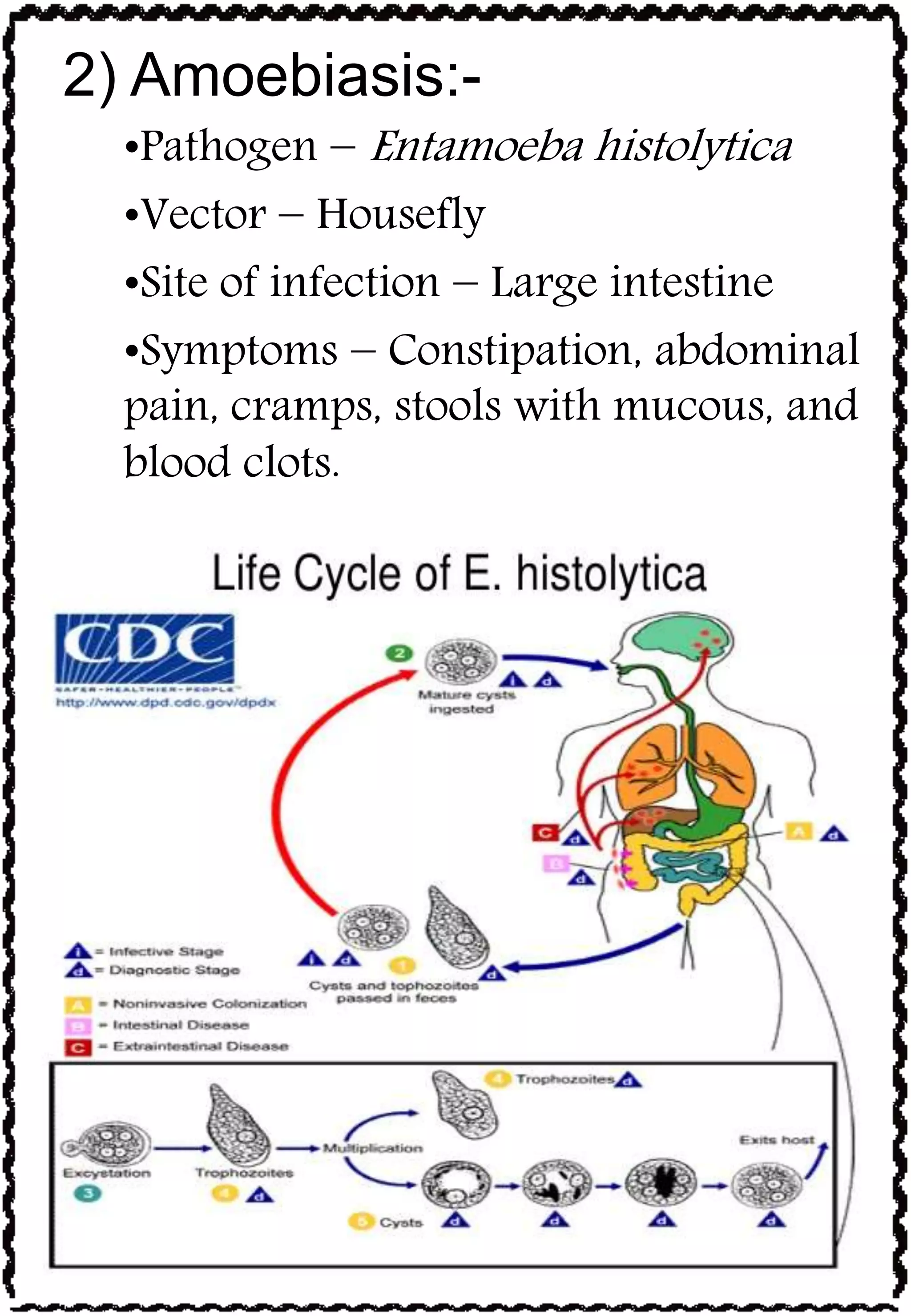 Human Health and Disease | PPTX