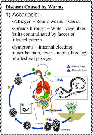 Human Health and Disease | PPTX