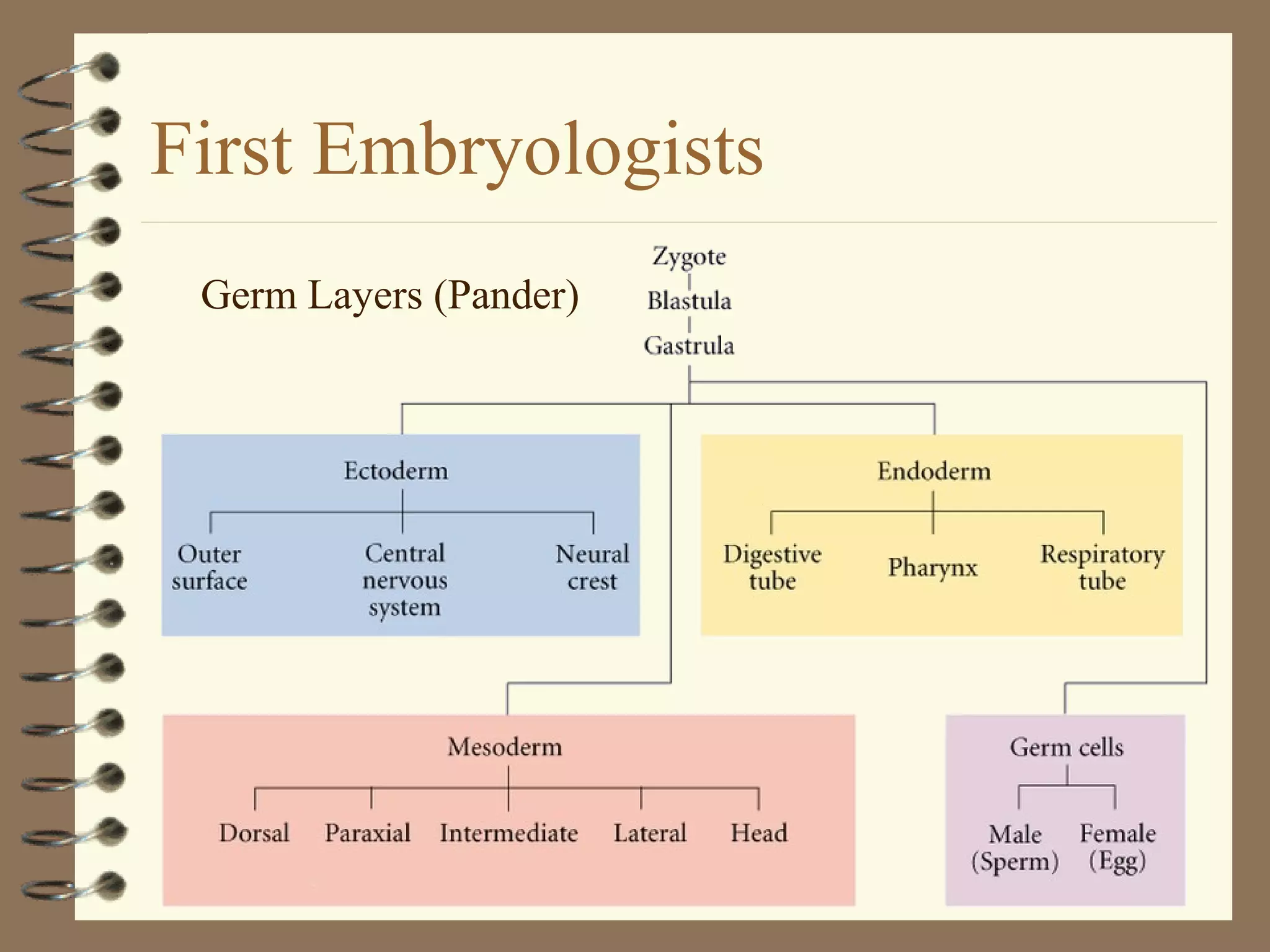 Introduction of development biology | PPT