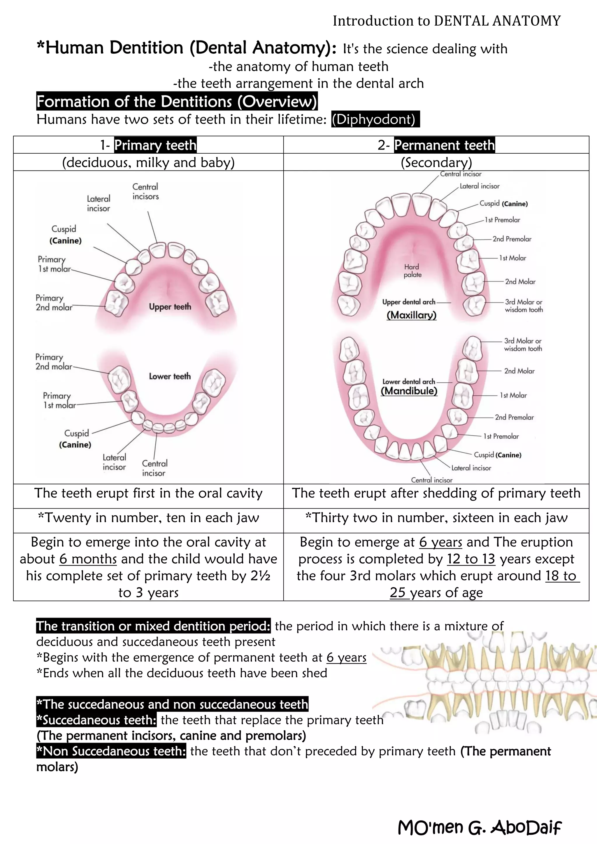 Introduction to Dental Anatomy | PDF