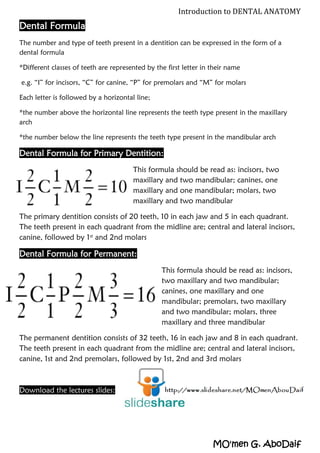 Introduction to Dental Anatomy | PDF