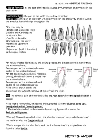 Tooth Morphology Morphology The Form And Structure Of, 47% OFF