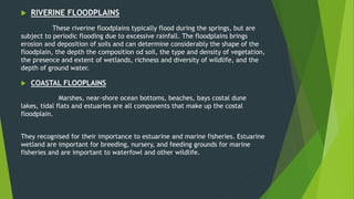 floodplain presentation | PPTX