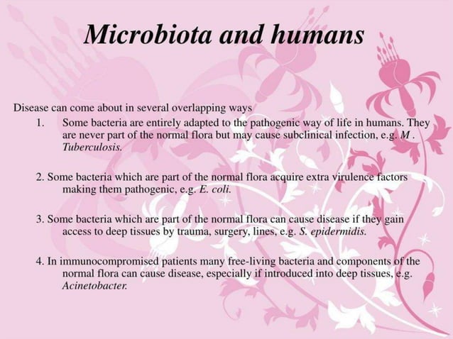 Introduction. to Systematic diagnostic bacteriology | PPTX | Infectious Diseases | Diseases and ...
