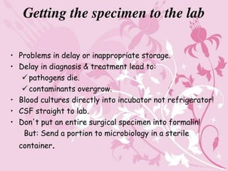 Introduction. to Systematic diagnostic bacteriology | PPTX