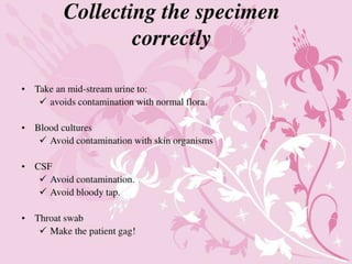 Introduction. to Systematic diagnostic bacteriology | PPTX