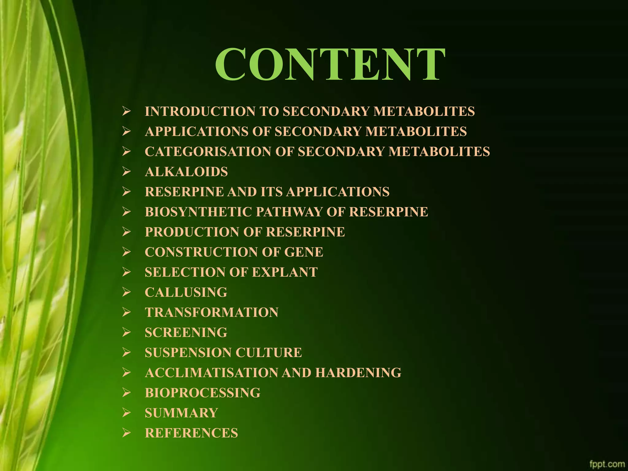 Production of Plant Secondary Metabolite (RESERPINE) | PPTX