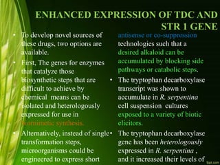 Production of Plant Secondary Metabolite (RESERPINE) | PPTX