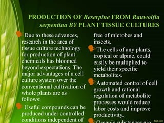 Production of Plant Secondary Metabolite (RESERPINE) | PPTX