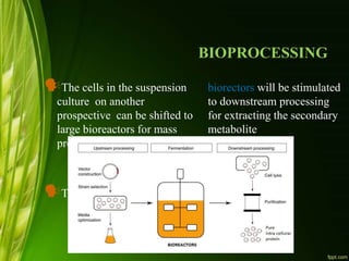 Production of Plant Secondary Metabolite (RESERPINE) | PPTX