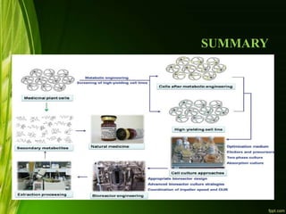 Production of Plant Secondary Metabolite (RESERPINE) | PPTX