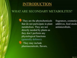 Production of Plant Secondary Metabolite (RESERPINE) | PPTX