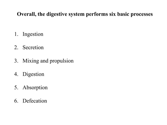 DIGESTIVE SYSTEM | PPT