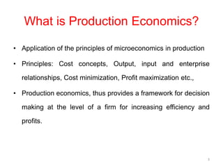Agriculture Production Economics | PPTX