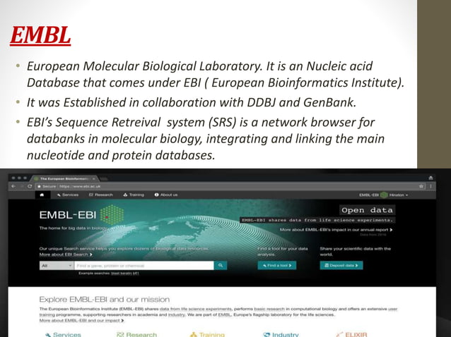 Introduction OF BIOLOGICAL DATABASE | PPTX