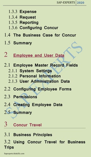 Learn Sap Concur Pdf